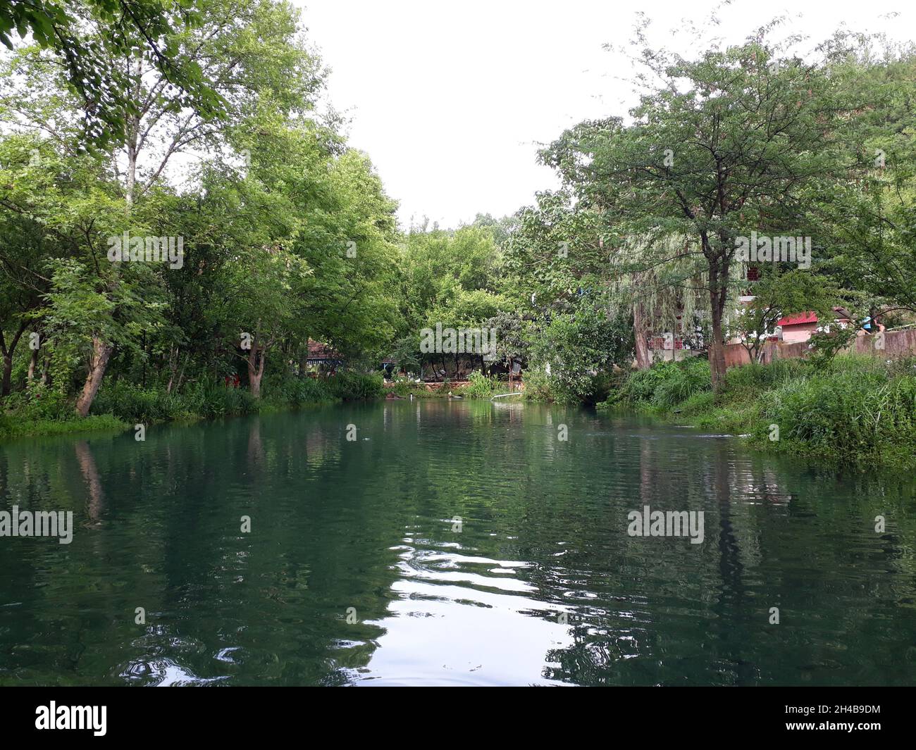 Mesmerizing forest from the middle of the river. Mirroring scene from ...