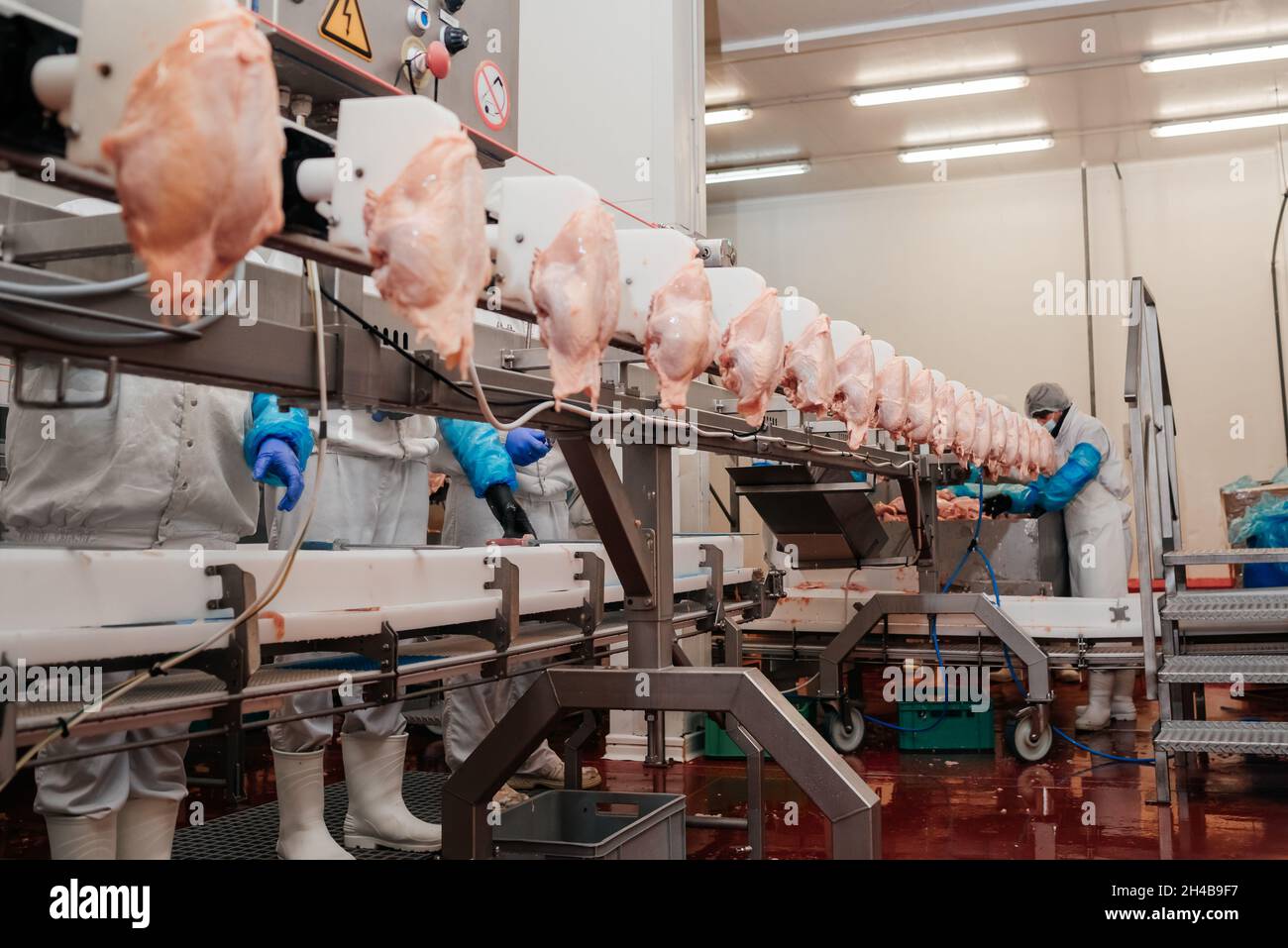 Meat processing plant.Industrial equipment at a meat factory.Modern ...