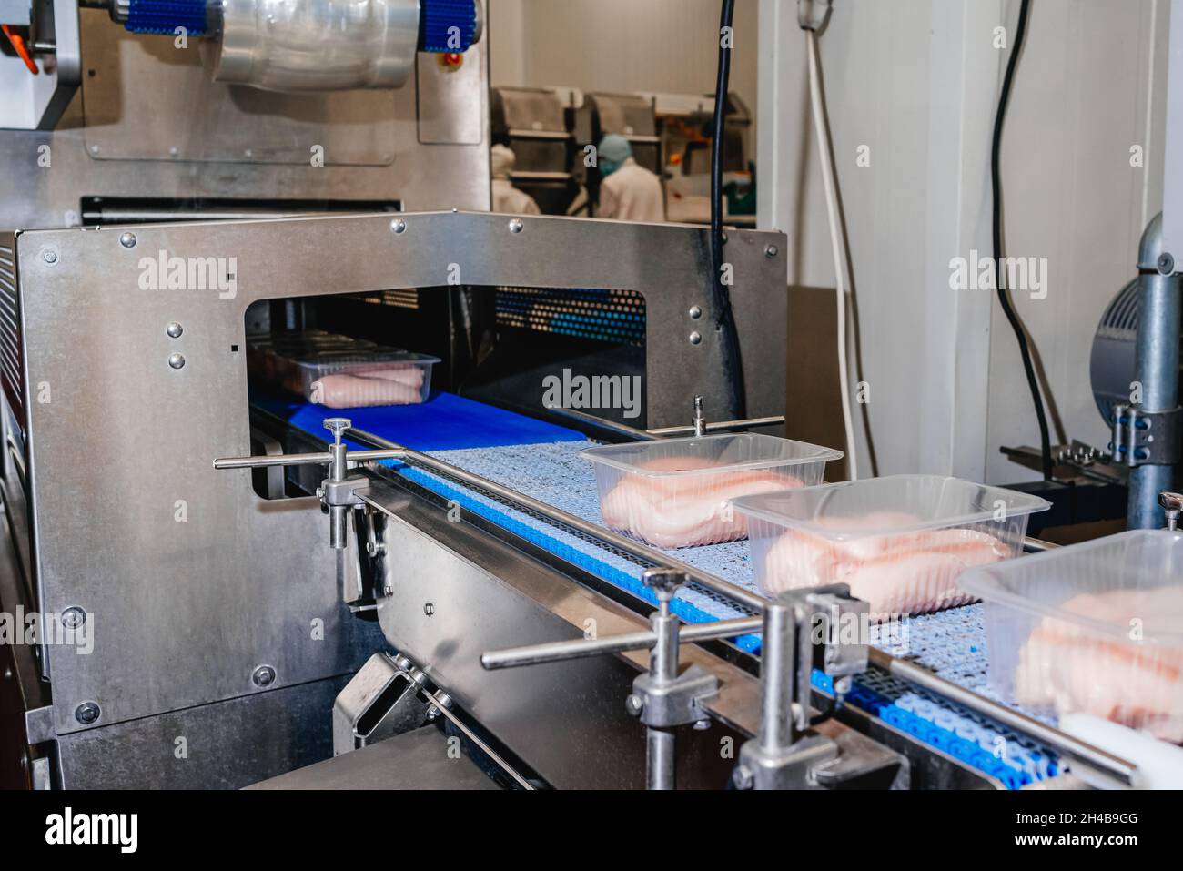 Meat processing,food industry.Packing of meat slices in boxes ,conveyor ...
