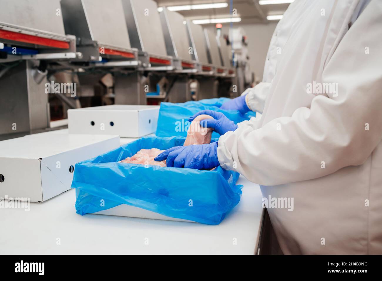 Line for the production of semi-finished meat products.Meat processing ...
