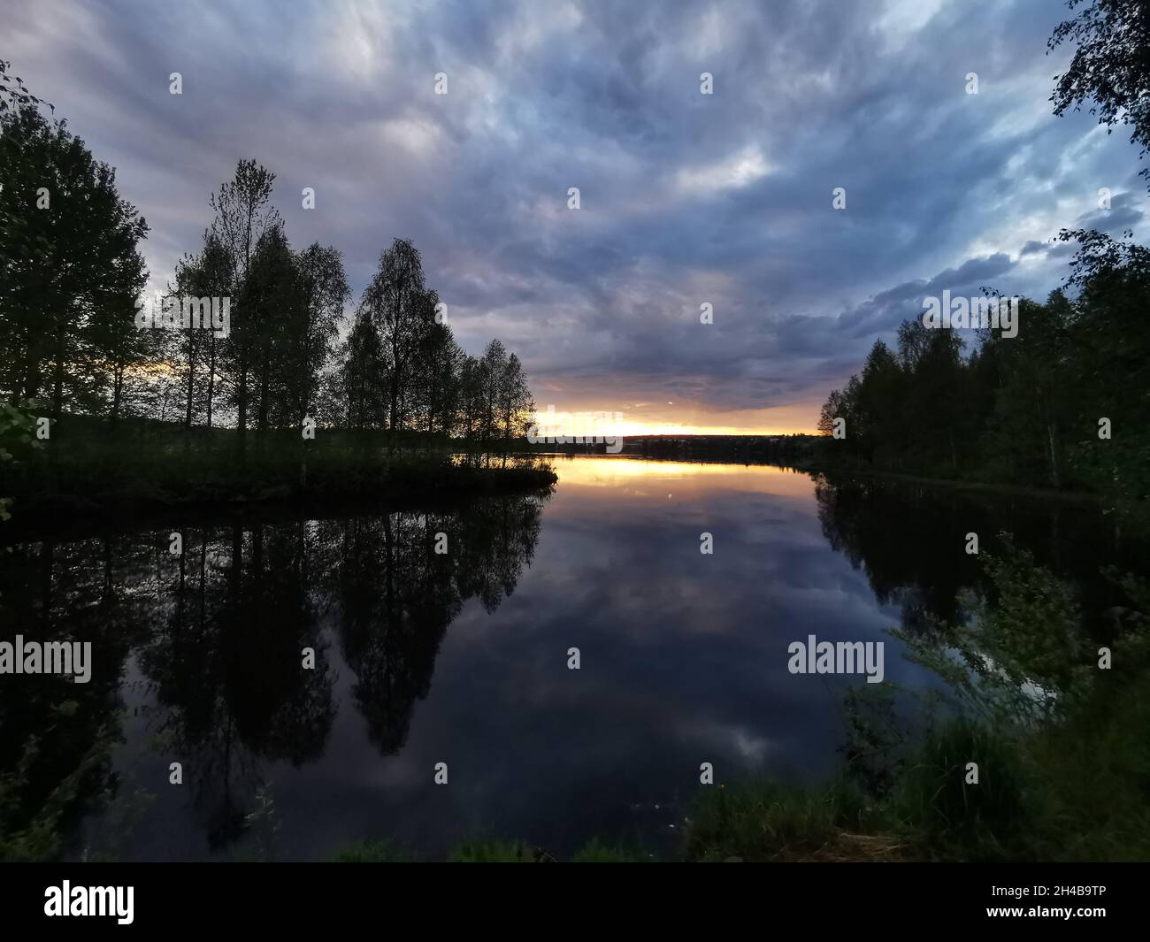 Mesmerizing forest from the middle of the river. Mirroring scene from ...