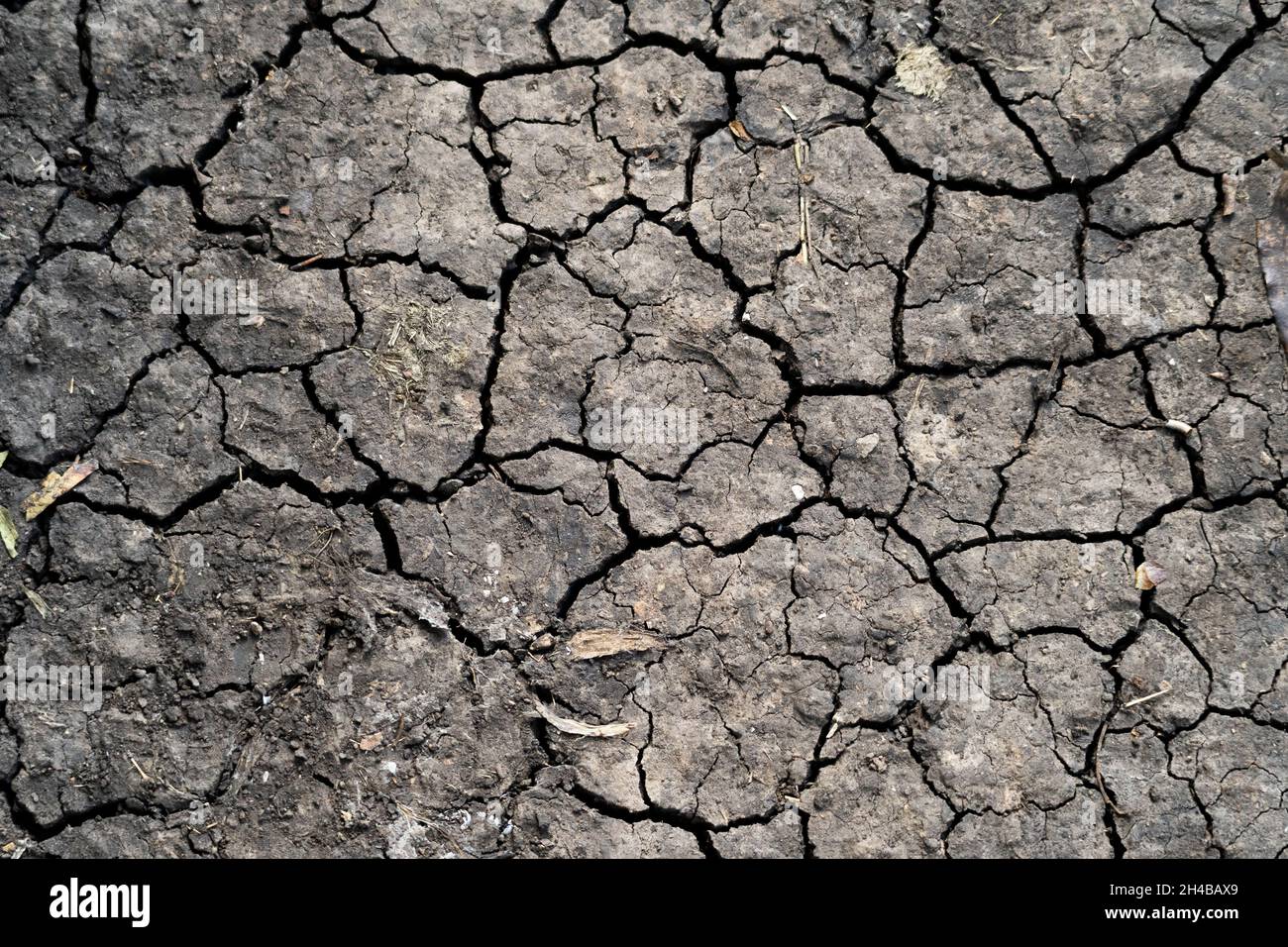 Top view of the dried cracked ground in the daylight - perfect for ...