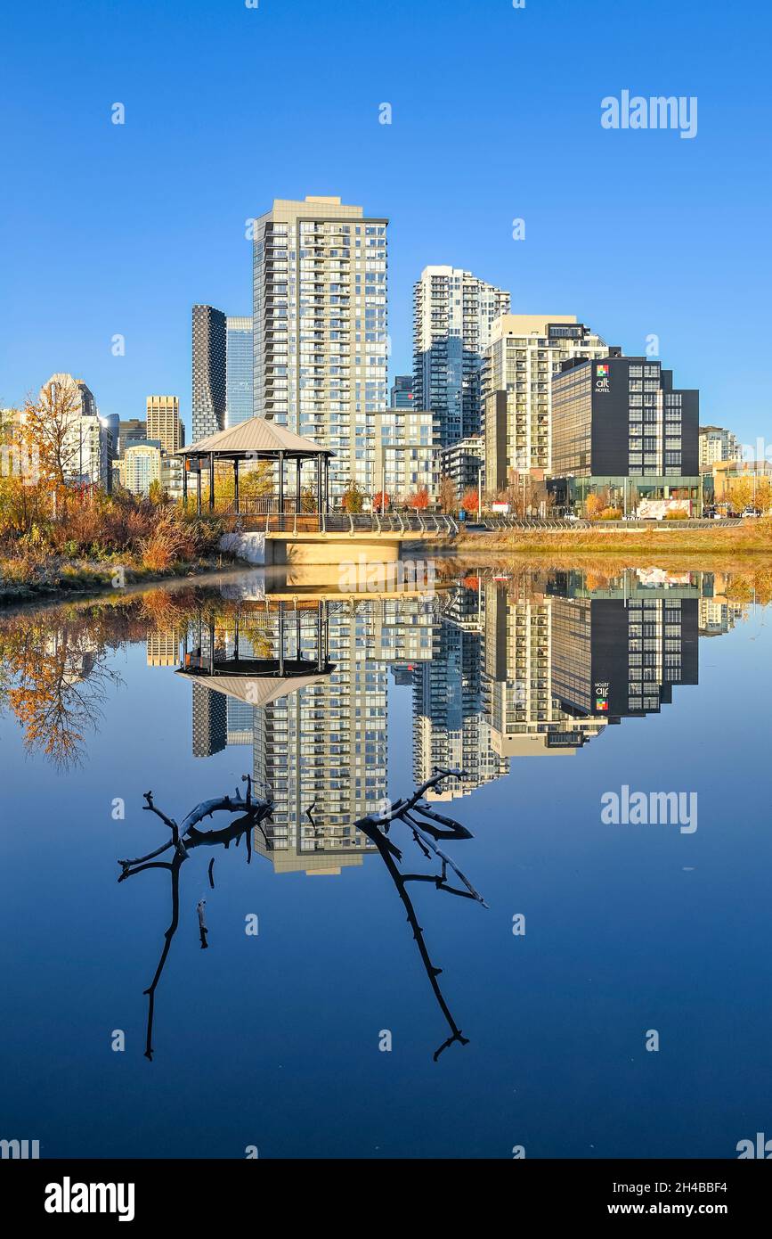 Downtown skyline reflected in pond, Calgary, Alberta, Canada Stock ...