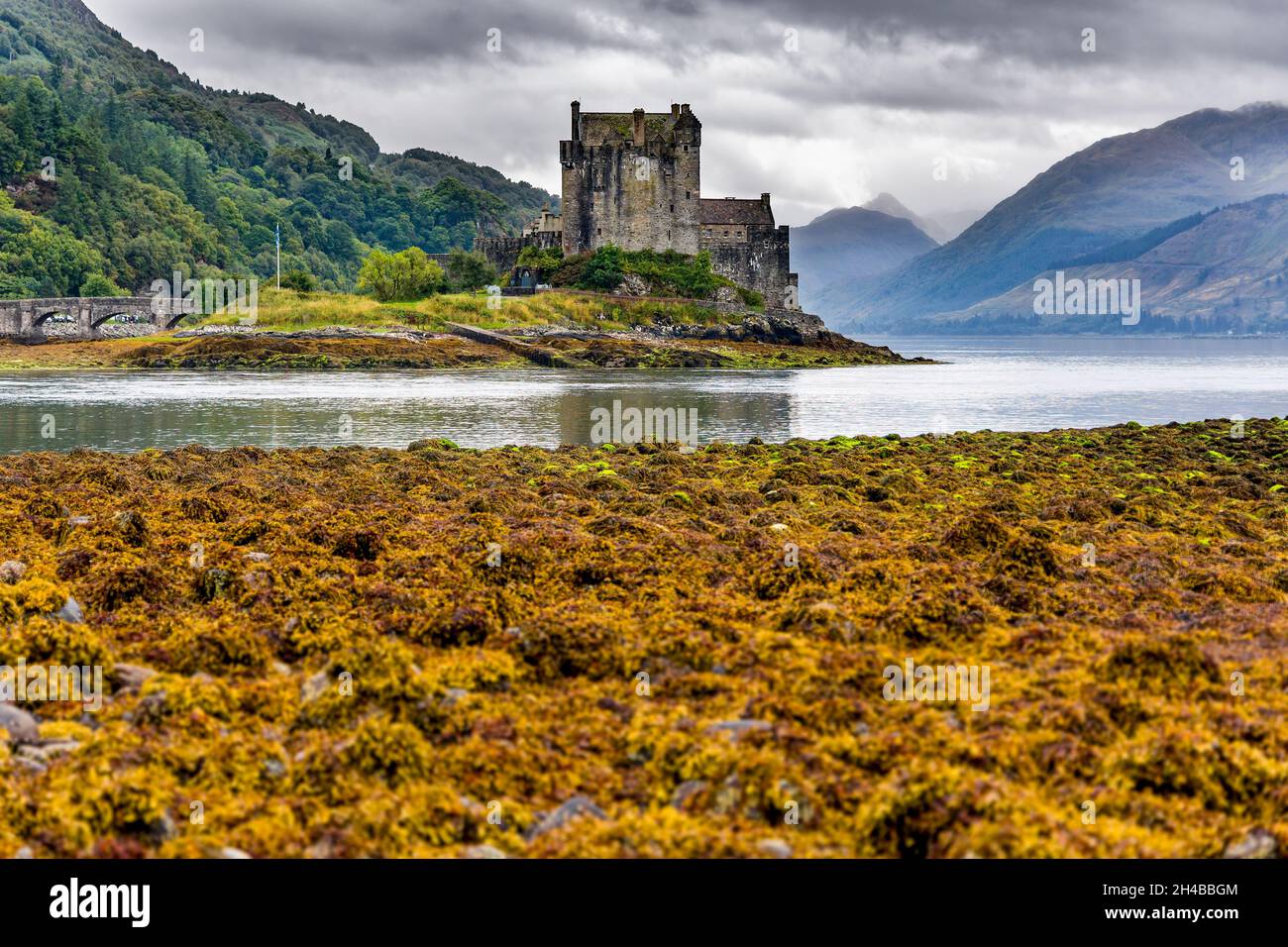 Dramatic Scottish castle with a moody sky on the shore of a sea loch ...