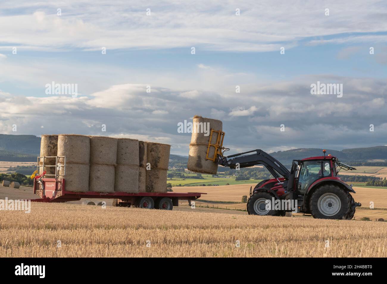 Straw loading hi-res stock photography and images - Alamy