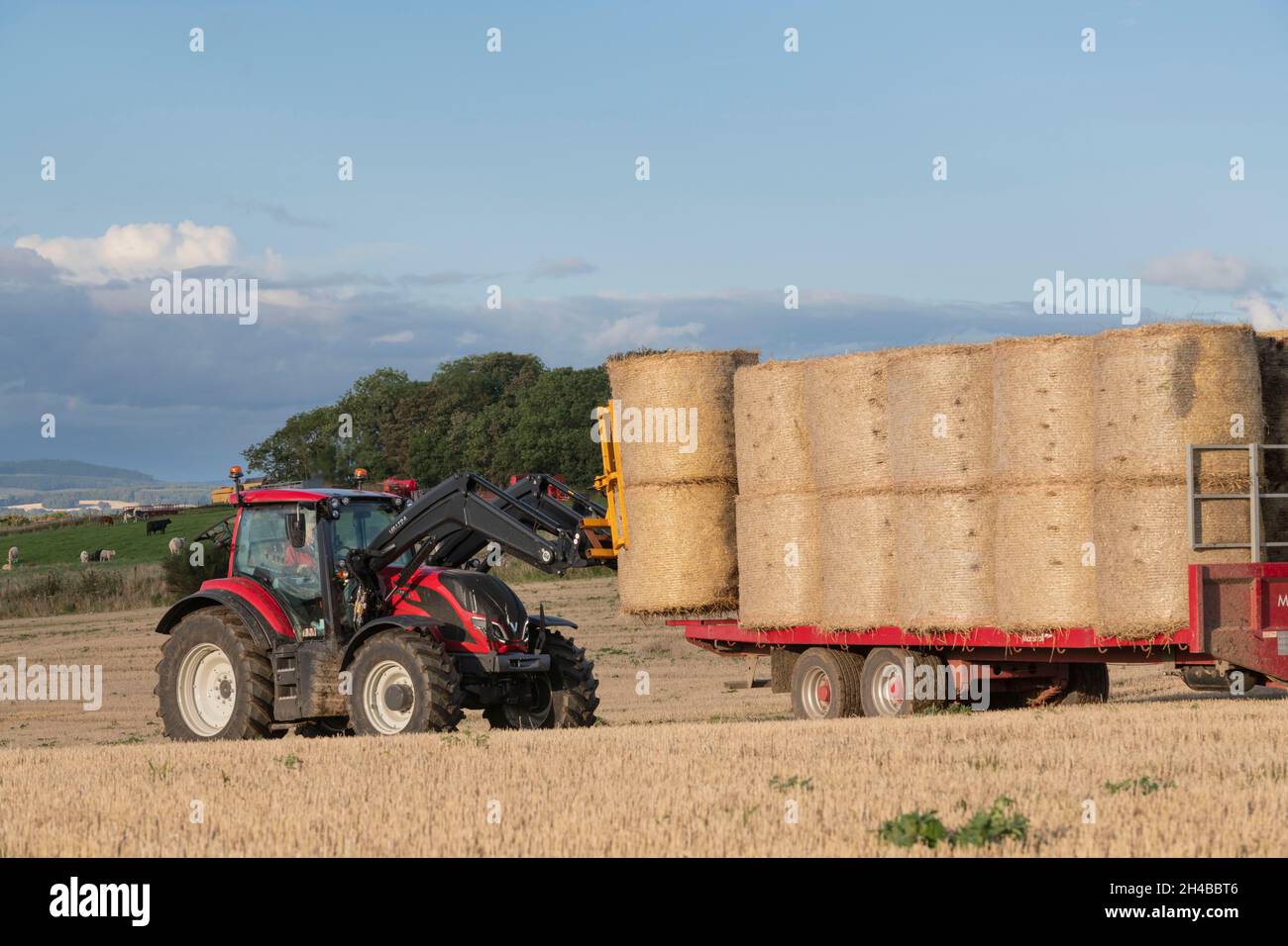 Trailer loader hi-res stock photography and images - Alamy