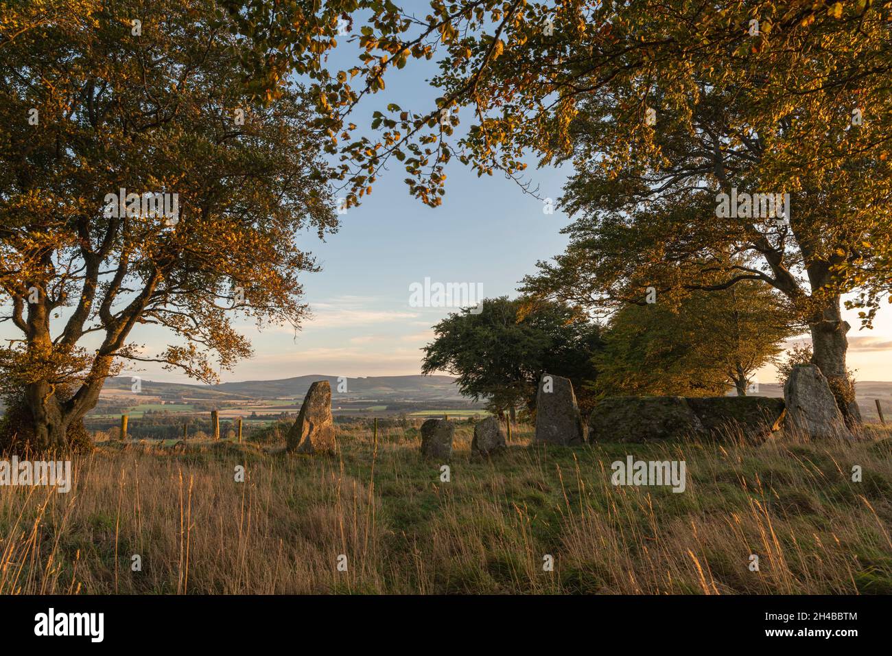 The Incomplete Stone Circle at Old Keig at Sunset in a Woodland ...