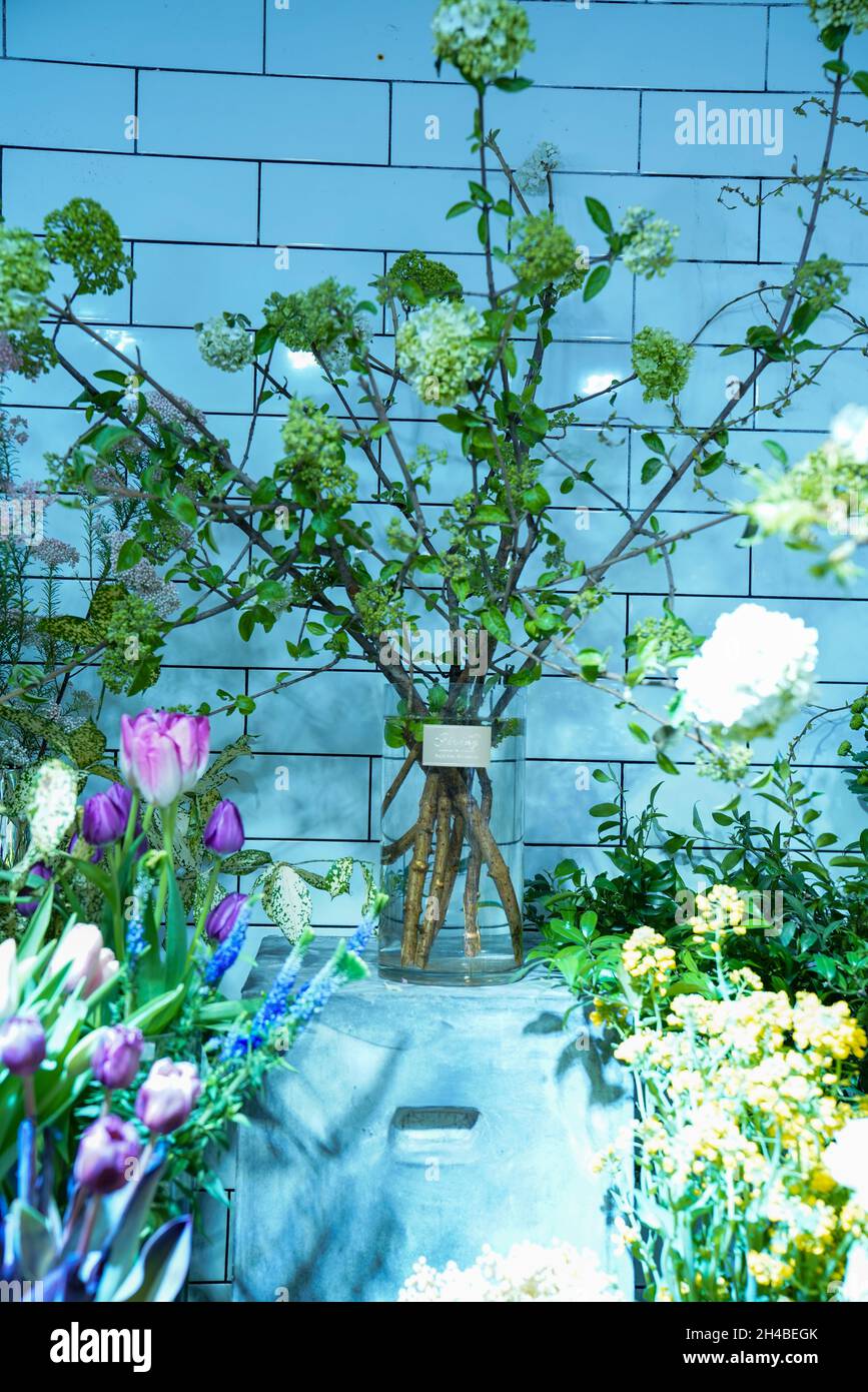 Creative layout of flowers and leaves. The concept of nature. A card ...