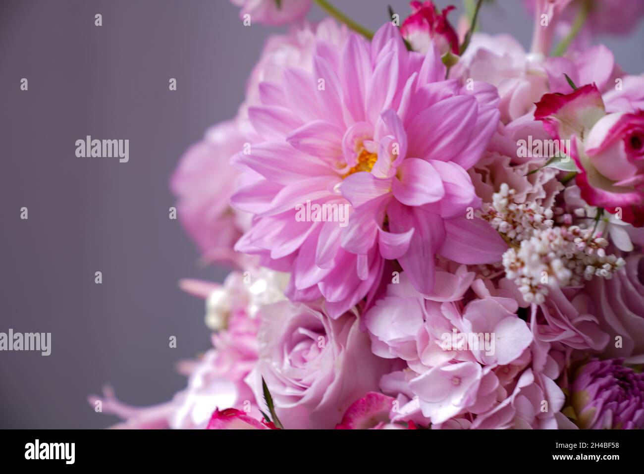 Creative layout of flowers and leaves. The concept of nature. A card ...