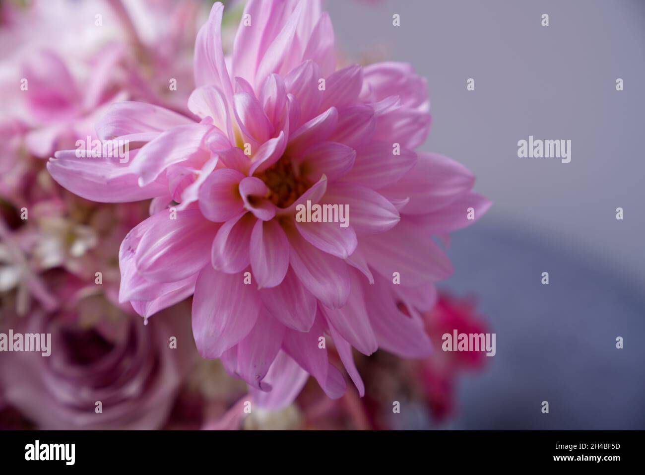 Creative layout of flowers and leaves. The concept of nature. A card ...