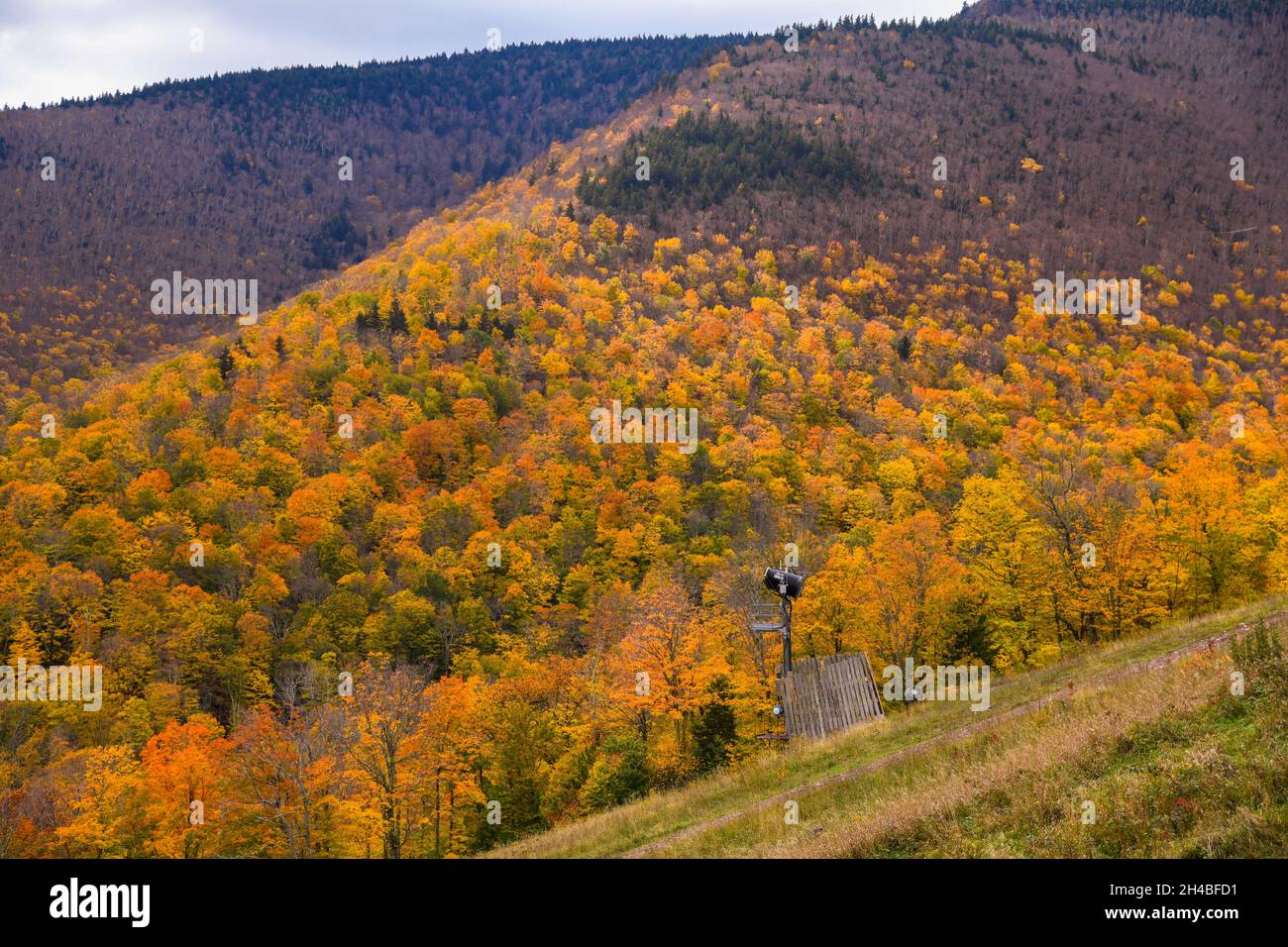 Scenic landscape with beautiful colorful trees in mountains, golden ...
