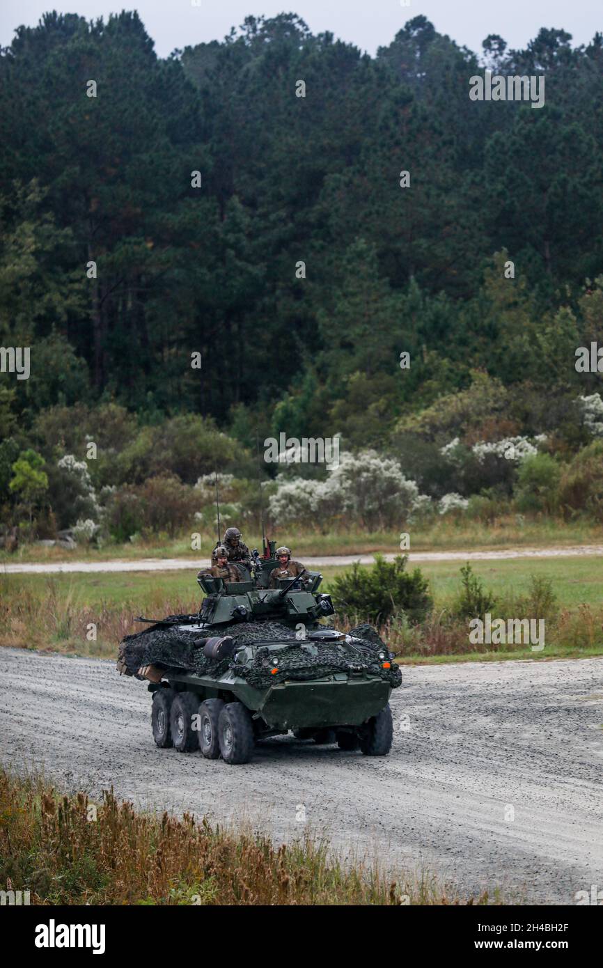 U.S. Marine Corps Light Armored Vehicle with Bravo Company, 2nd Light ...