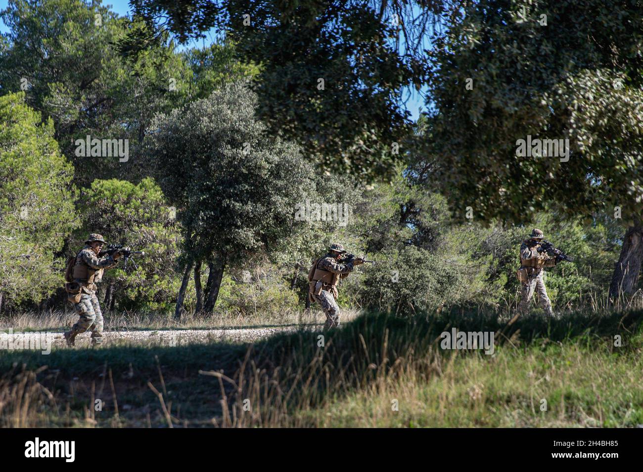 U.S. Marines with 2d Marine Division (2d MARDIV) patrol during Exercise ...