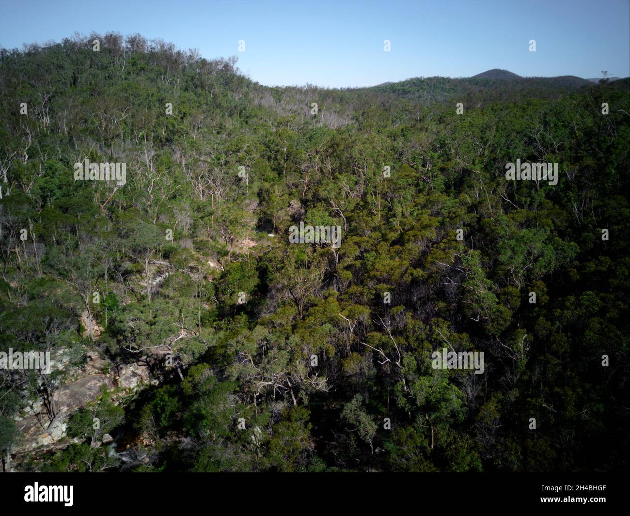 Aerial of vegetation on the slopes of Mt Walsh National Park near ...
