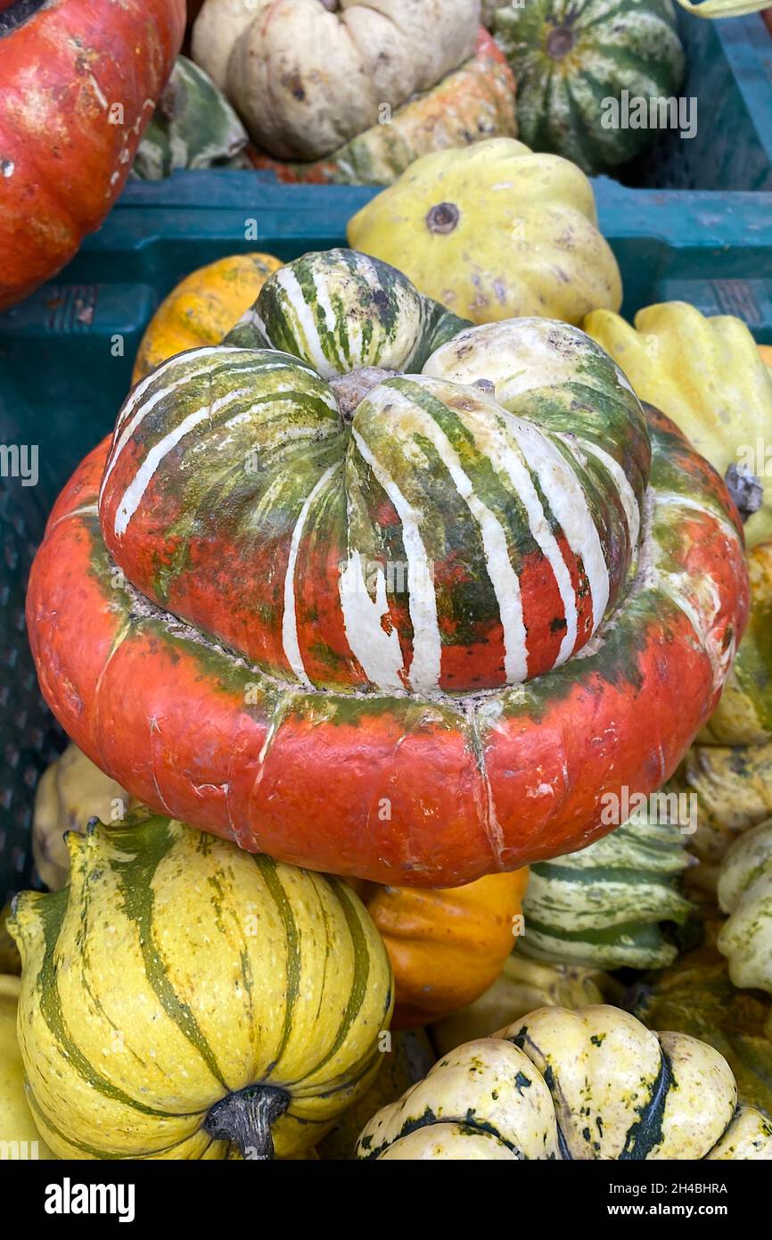 Pumpkins of different sizes hi-res stock photography and images - Alamy