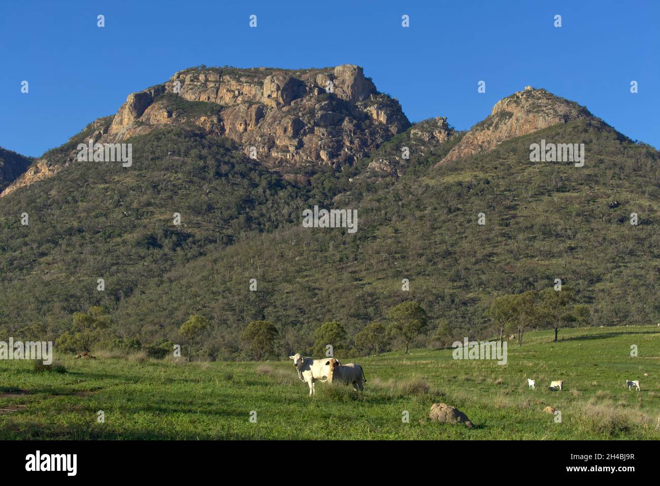 Mt walsh national park hi-res stock photography and images - Alamy