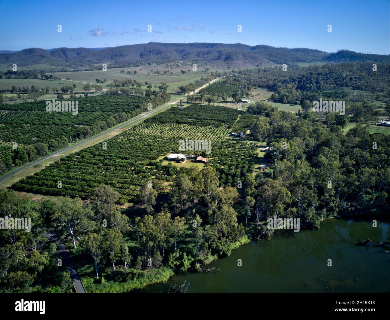 Aerial of citrus orchards growing along the banks of the Burnett River ...