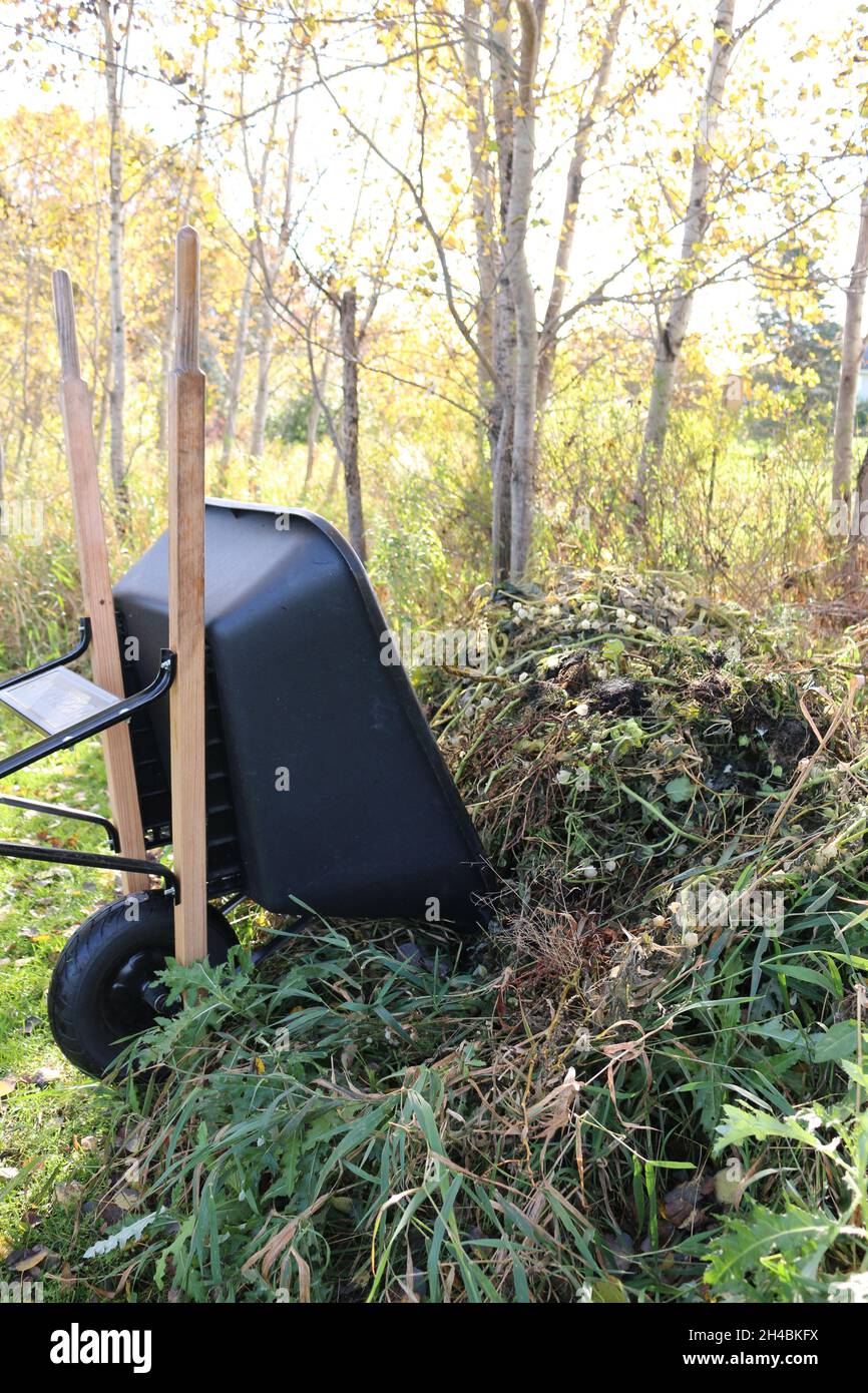Minnesota Fall garden cleanup Stock Photo - Alamy