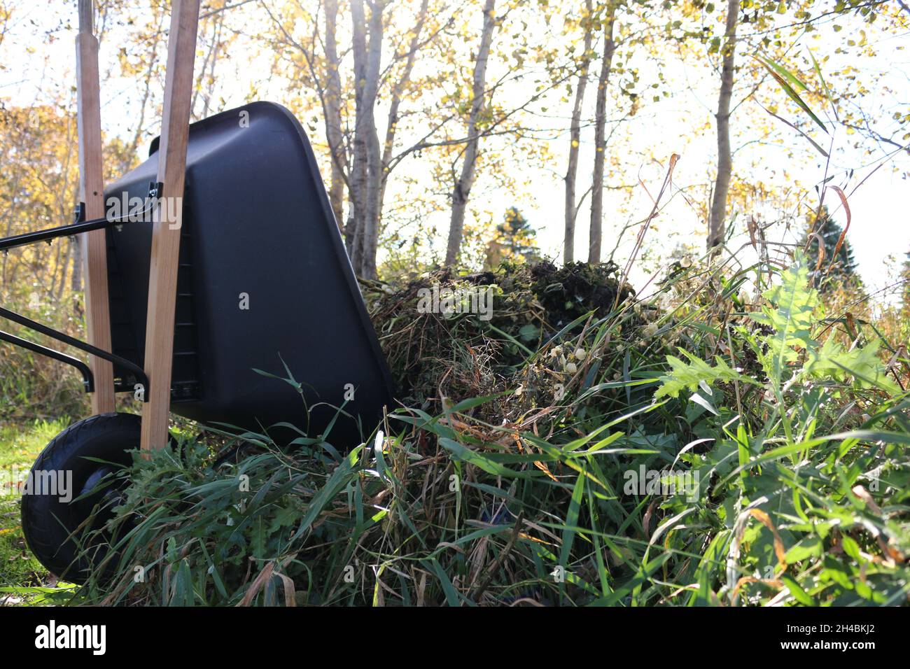 Minnesota Fall garden cleanup Stock Photo - Alamy