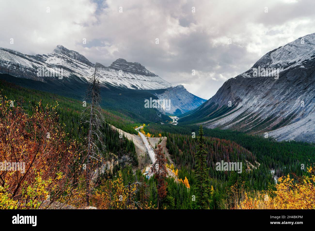 Highway 93 in the fall. It is also known as the Banff-Windermere ...