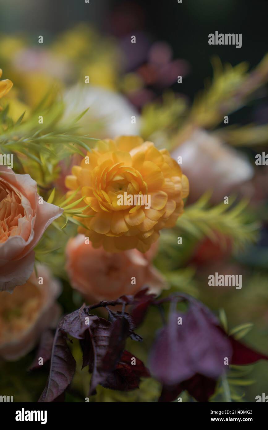 Creative layout of flowers and leaves. The concept of nature. A card ...