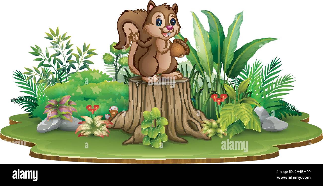 Cartoon happy squirrel holding pine cone and standing on tree stump with green plants Stock ...