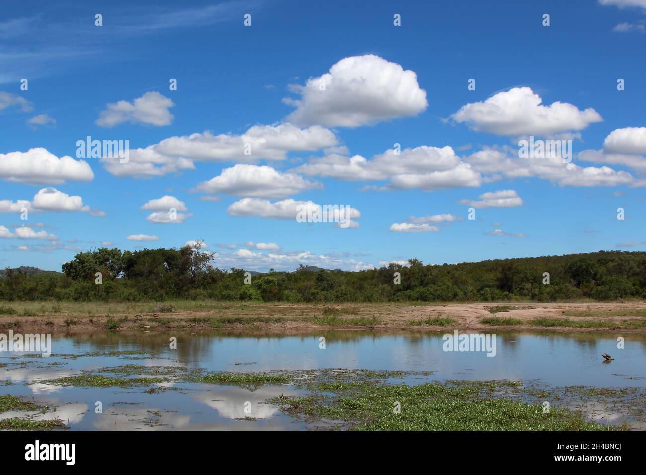 Renoster hi-res stock photography and images - Alamy