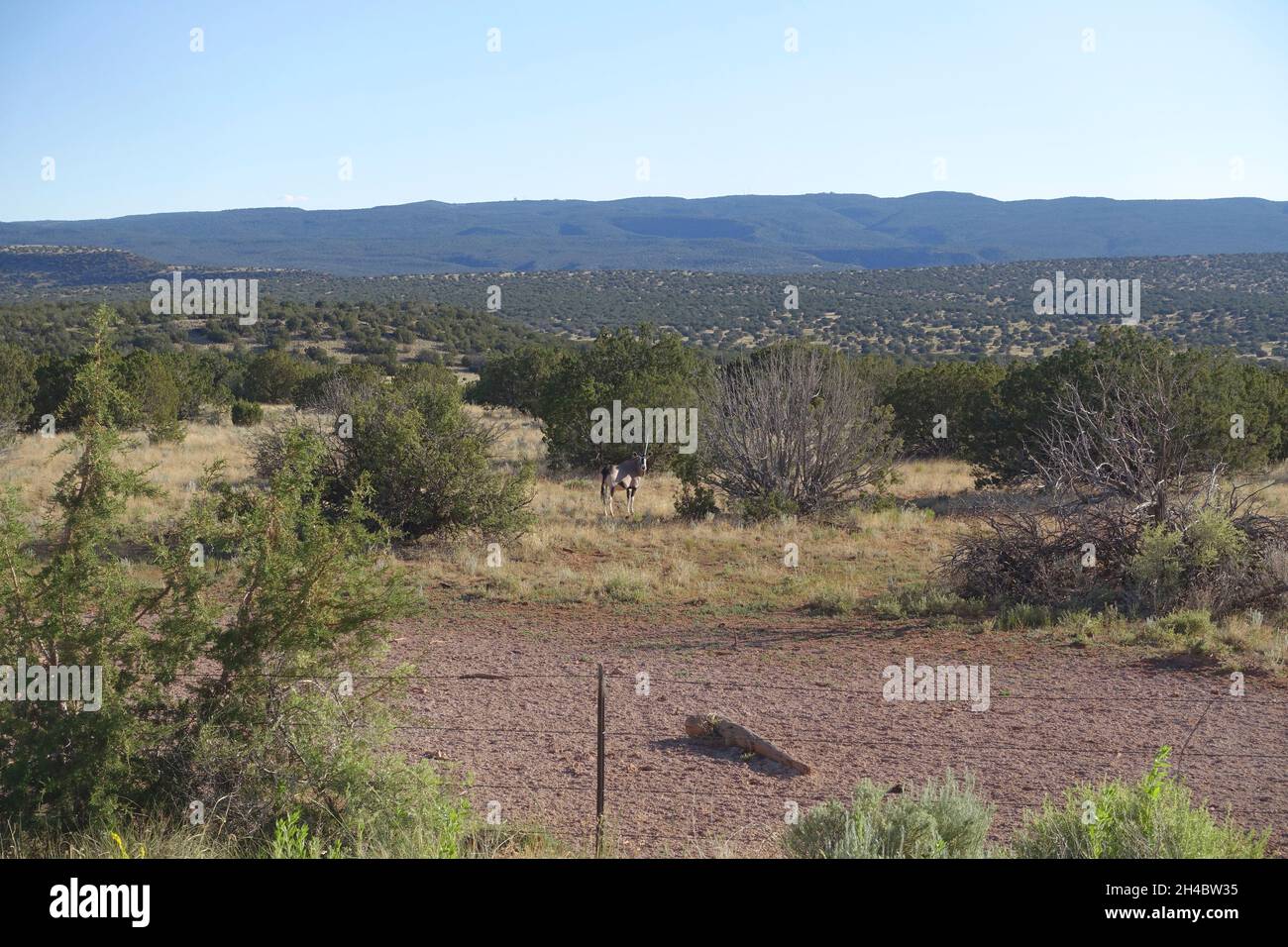 the dry open areas of central New Mexico Stock Photo - Alamy