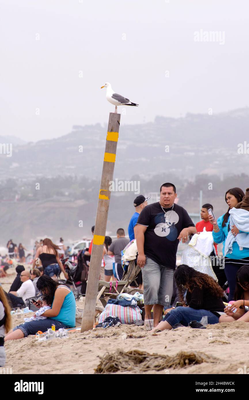 Crowded beach conditions in Santa Monica as the warm Spring weather ...