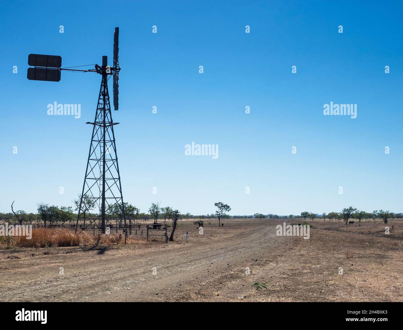 Windmill above a bore on Charnley River Station, West Kimberley ...