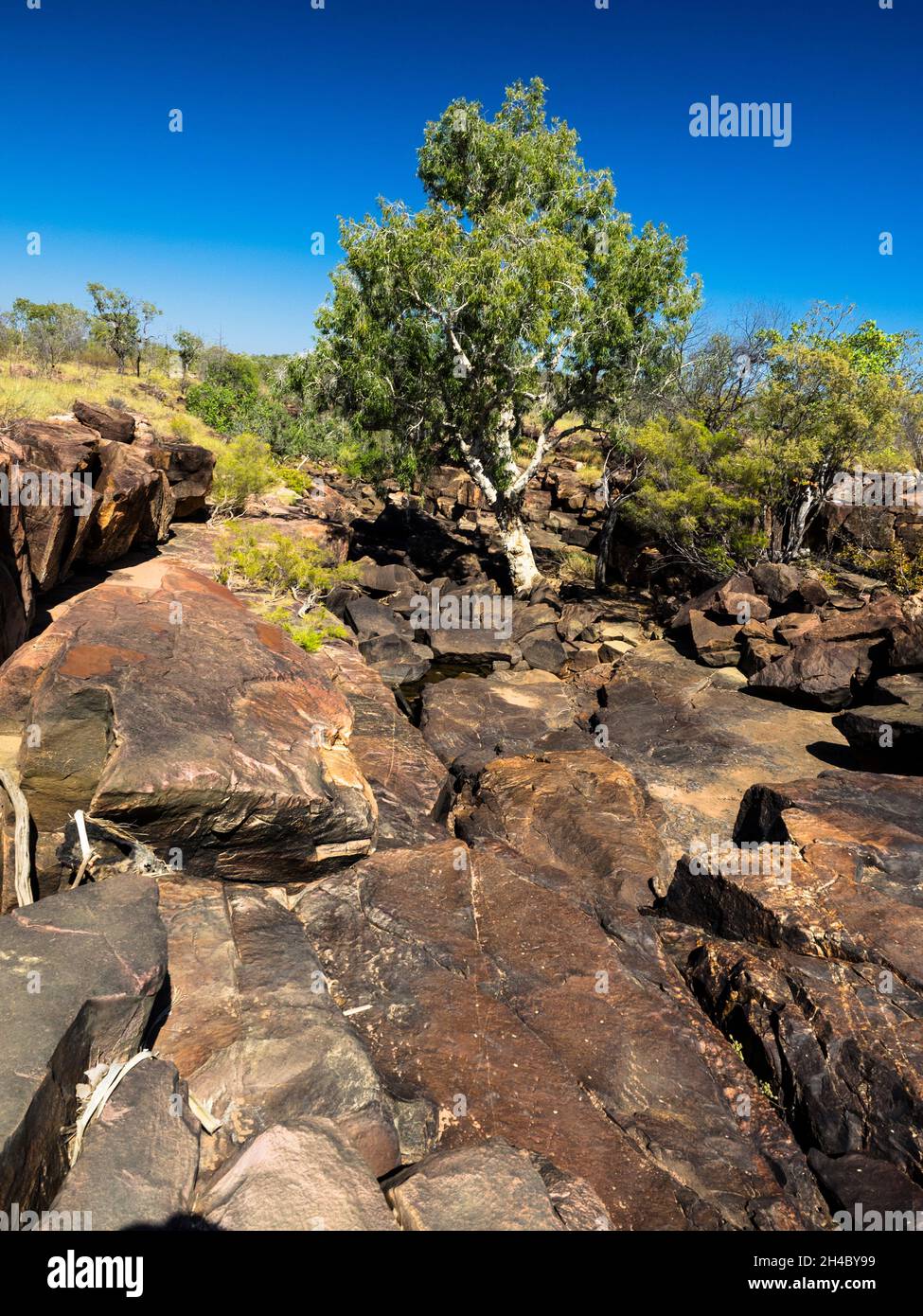 Outback creek bed hi-res stock photography and images - Alamy