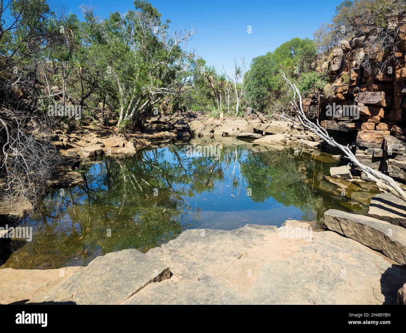 Lily Pools, Charnley River Station, West Kimberley Stock Photo - Alamy