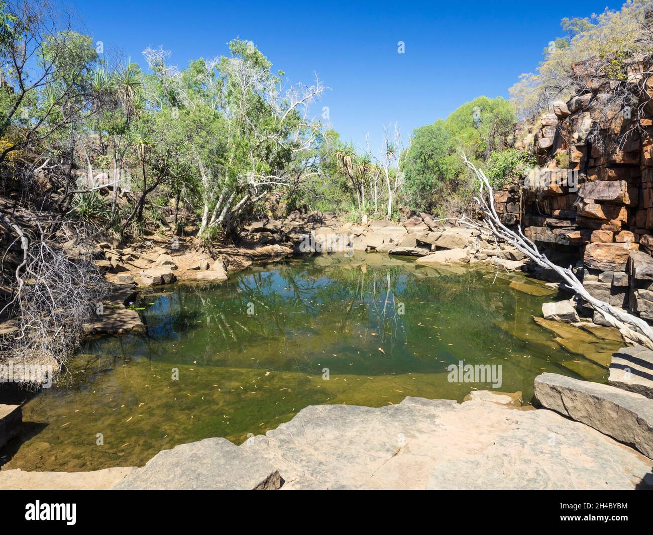 Lily Pools, Charnley River Station, West Kimberley Stock Photo - Alamy