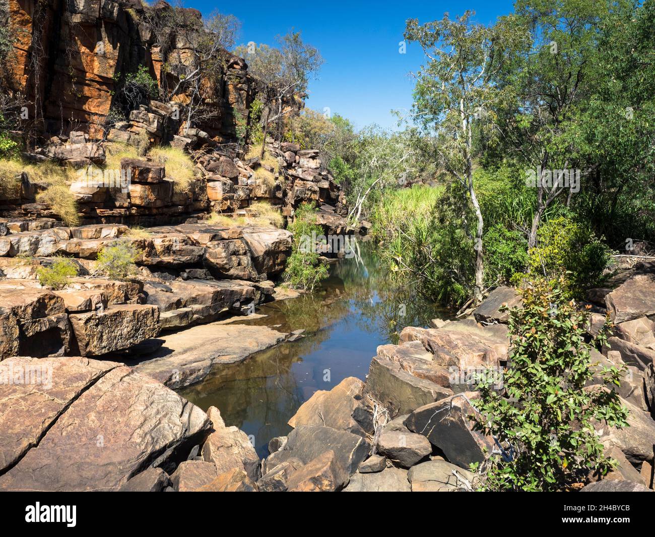 Waterhole at Lily Pools, Charnley River Station, West Kimberley Stock ...