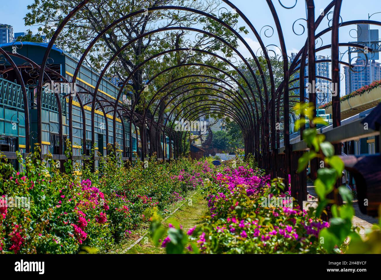 The old train tracks are overgrown with green plants and flowers Stock ...