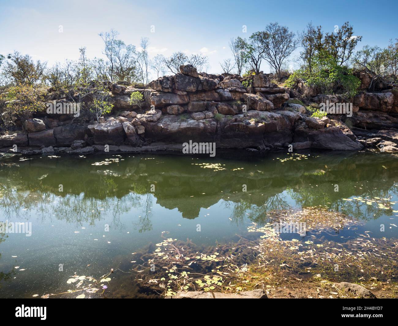 Donkey pools hi-res stock photography and images - Alamy