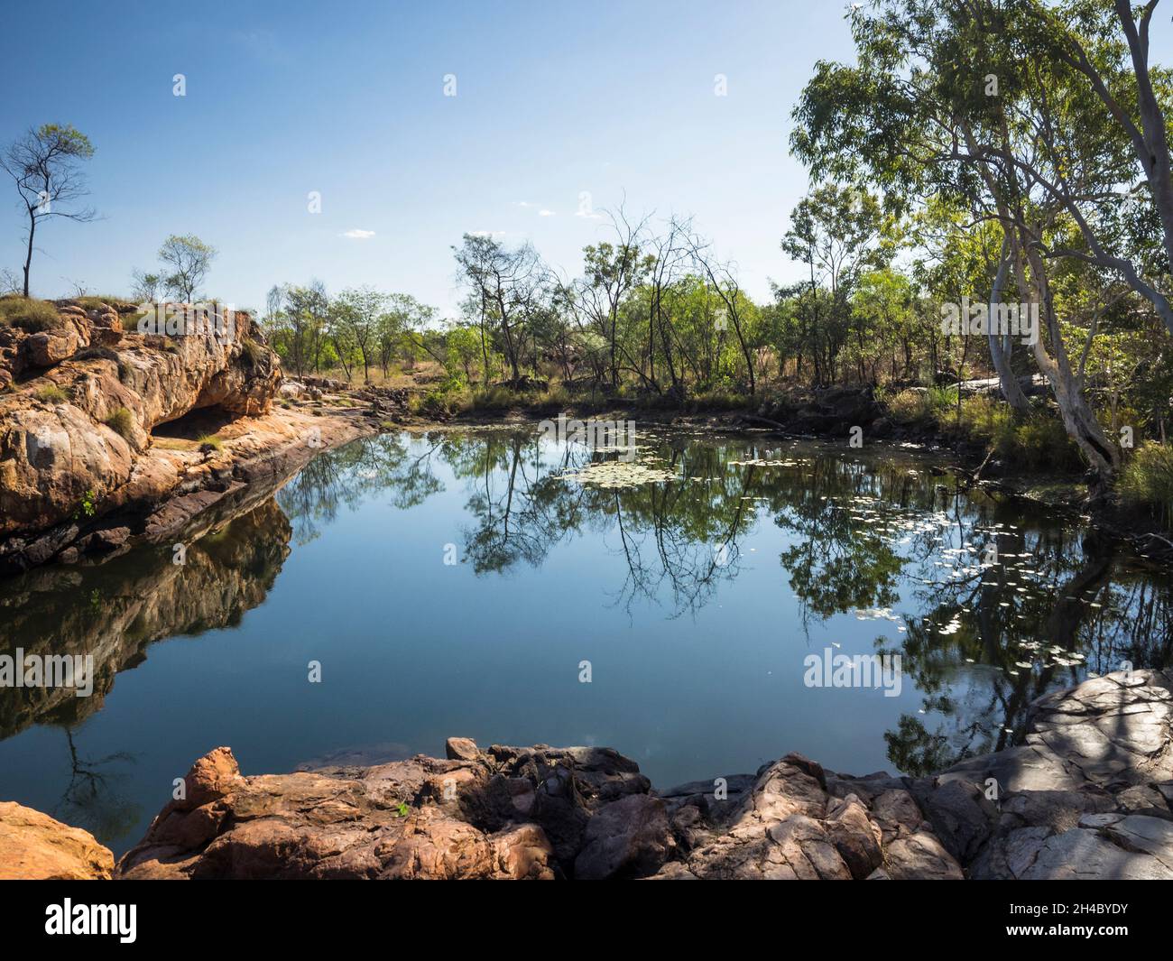 Donkey pools hi-res stock photography and images - Alamy