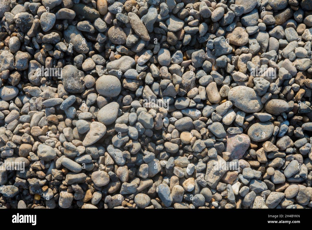 Pebbly surface hi-res stock photography and images - Alamy