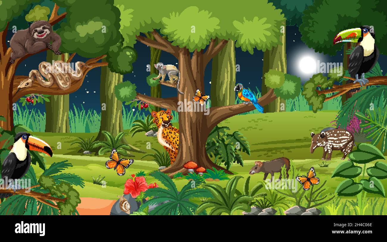 Forest at night scene with different wild animals illustration Stock ...