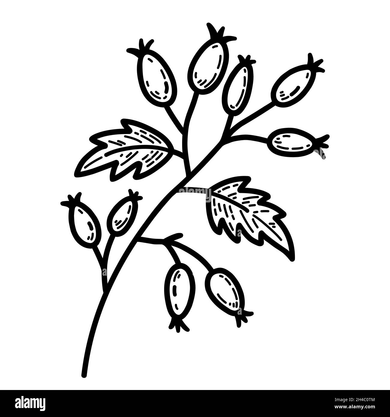 Autumn cards Black and White Stock Photos & Images - Alamy