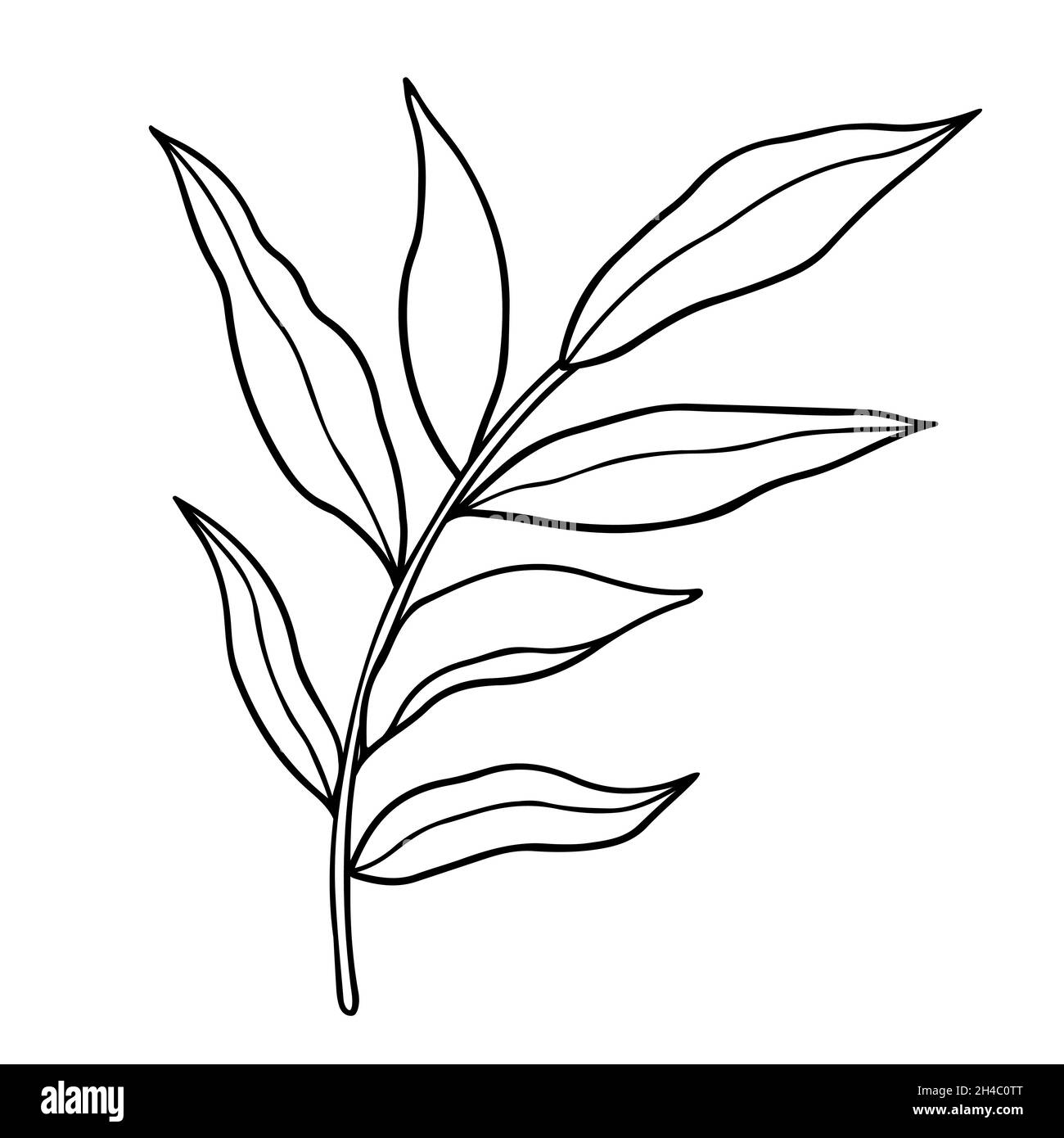 Abstract twig with leaves isolated on a white background. Vector hand ...