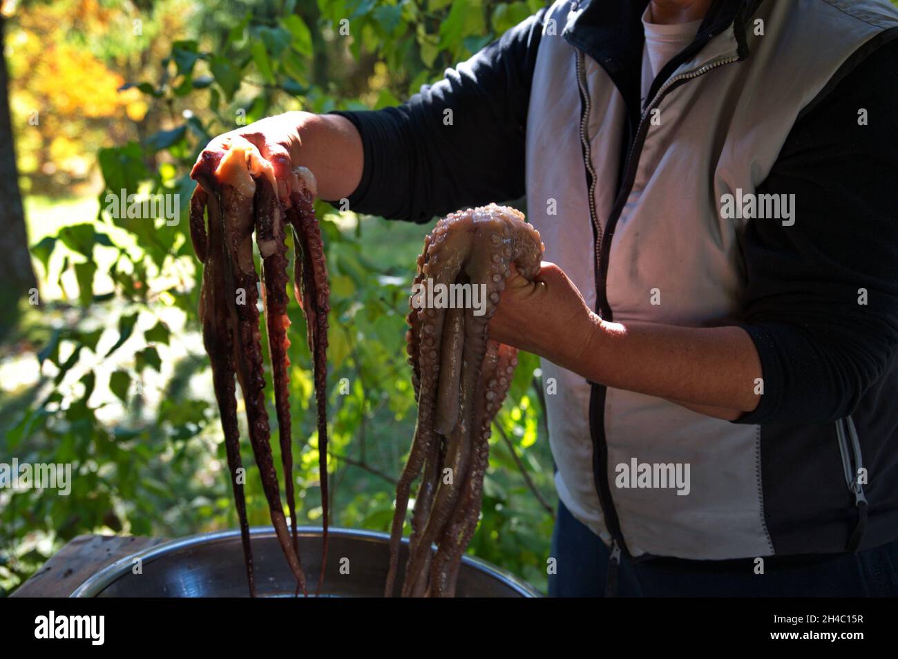 Octopus woman hi-res stock photography and images - Alamy