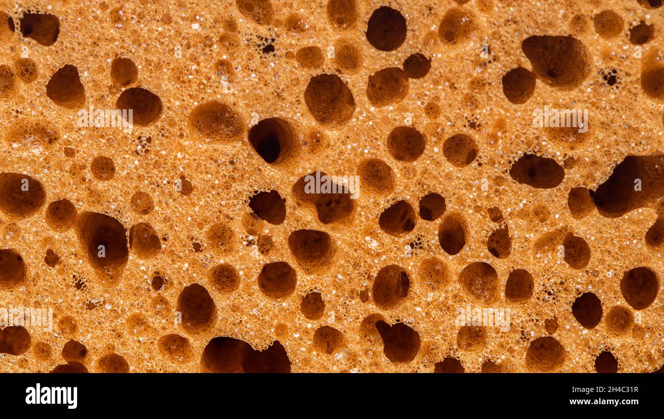 background from texture of beige sponge closeup Stock Photo - Alamy