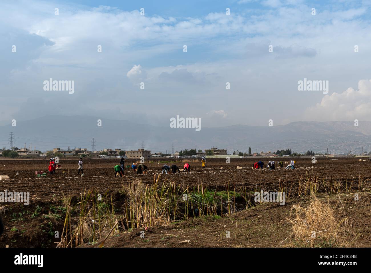Bekaa valley fields hi-res stock photography and images - Alamy
