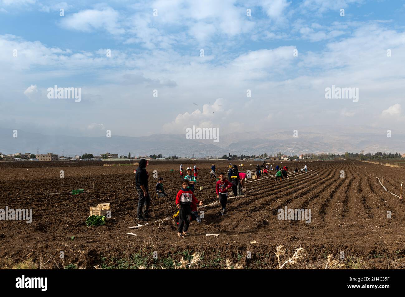 Bekaa valley fields lebanon hi-res stock photography and images - Alamy