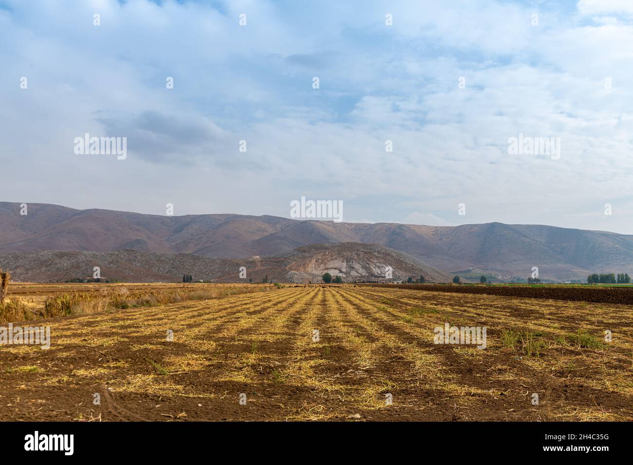 Bekaa valley fields lebanon hi-res stock photography and images - Alamy