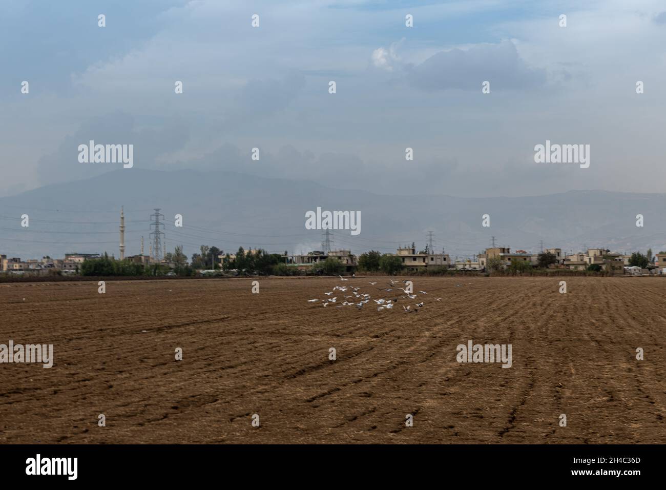Bekaa valley fields lebanon hi-res stock photography and images - Alamy