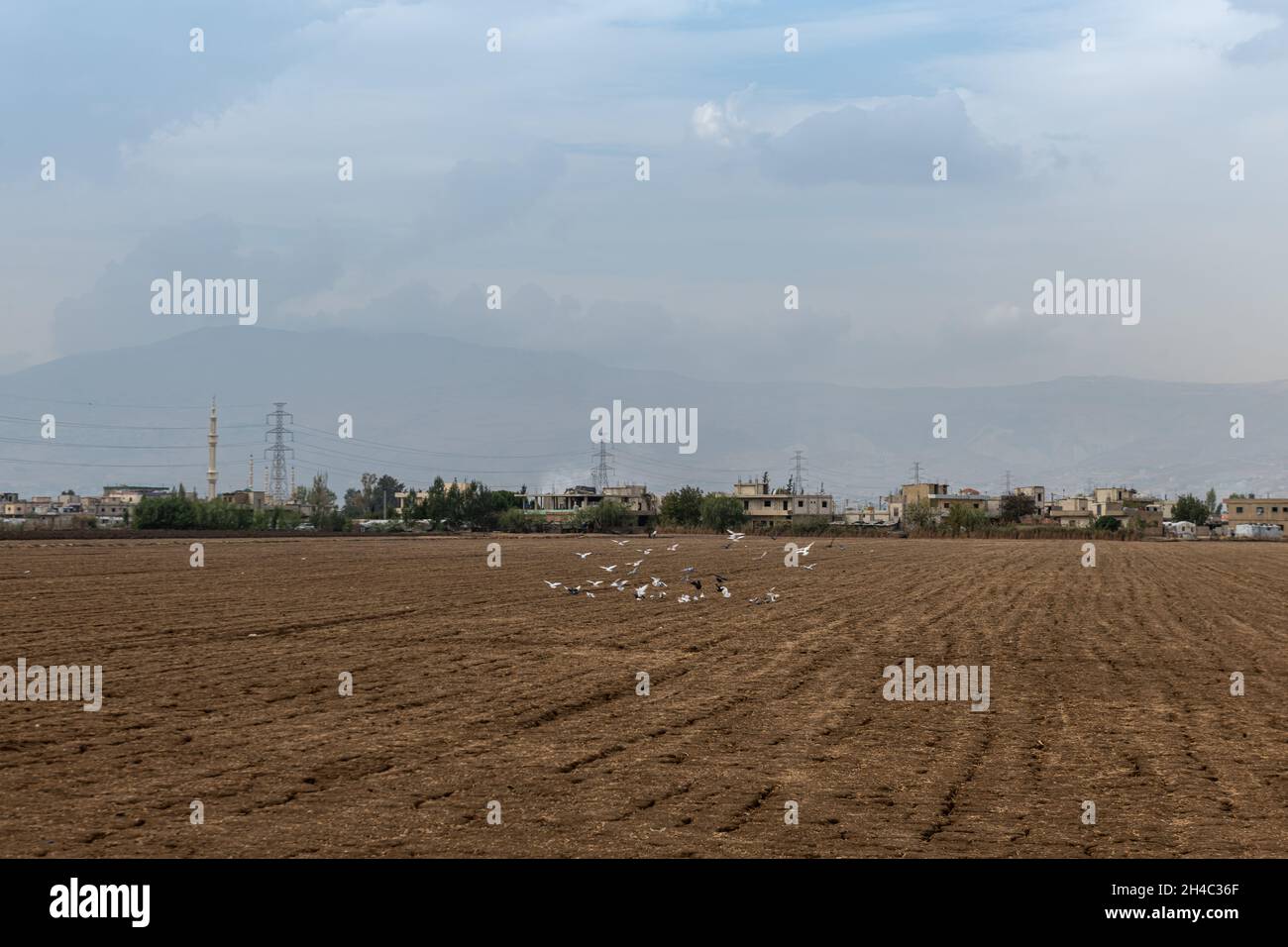 Bekaa valley fields lebanon hi-res stock photography and images - Alamy