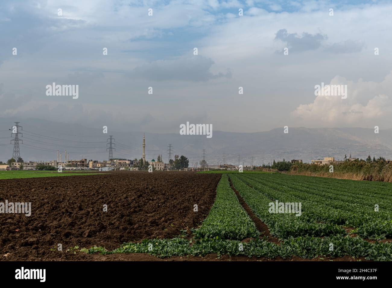 Bekaa valley fields hi-res stock photography and images - Alamy