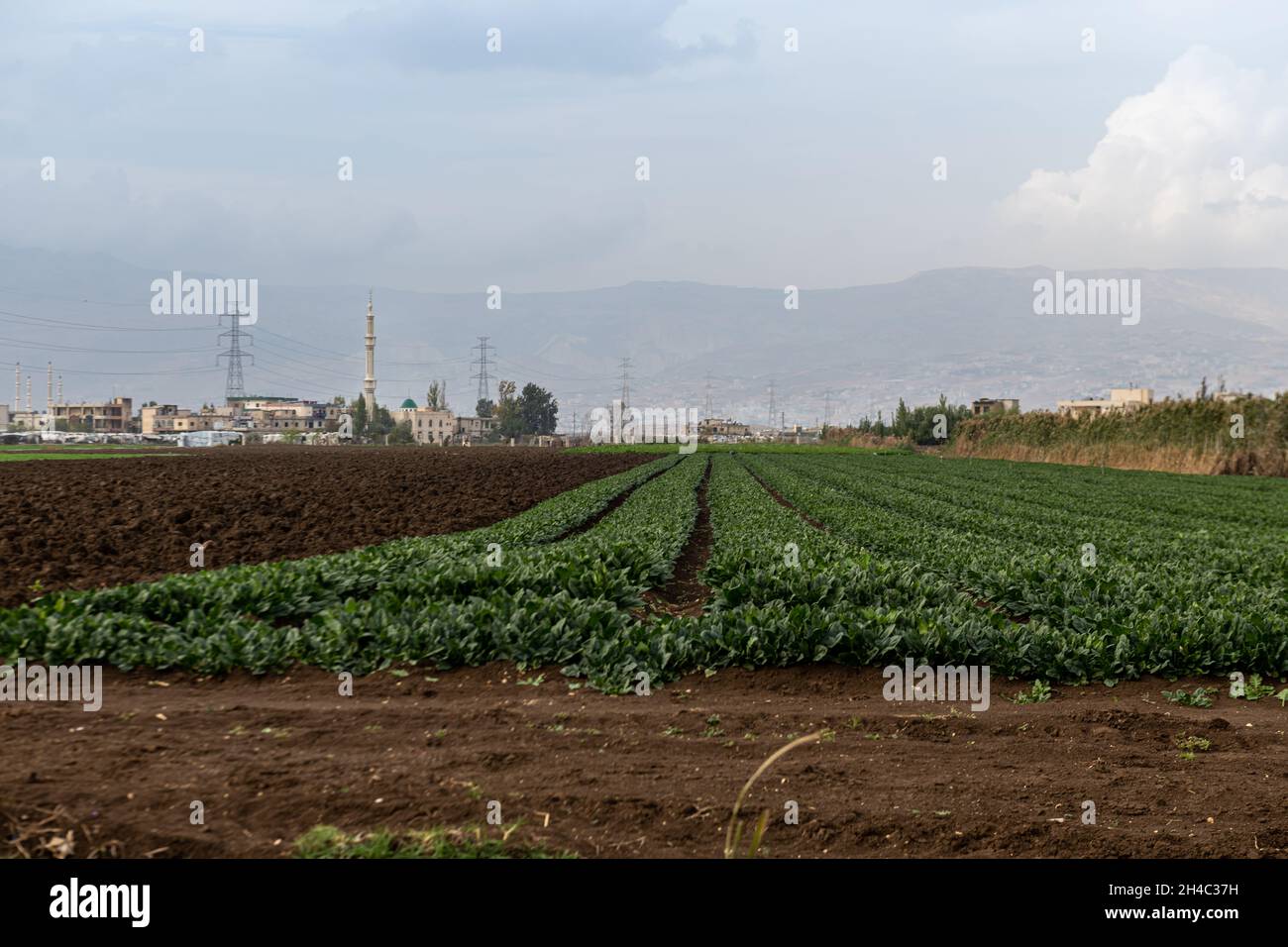 Bekaa valley fields hi-res stock photography and images - Alamy